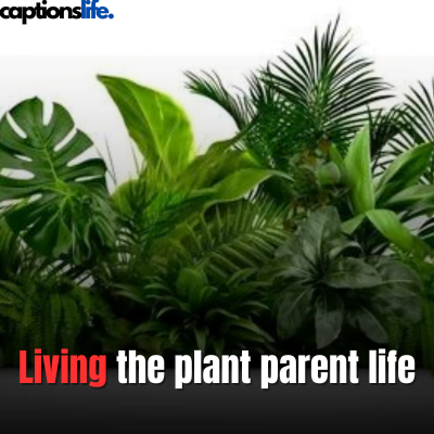 210+Plant Captions For Instagram and Plants Quotes